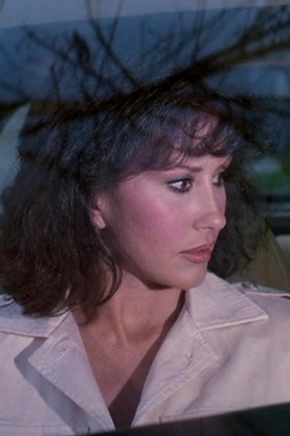 Knight Flight to Freedom Pictures | Rotten Tomatoes