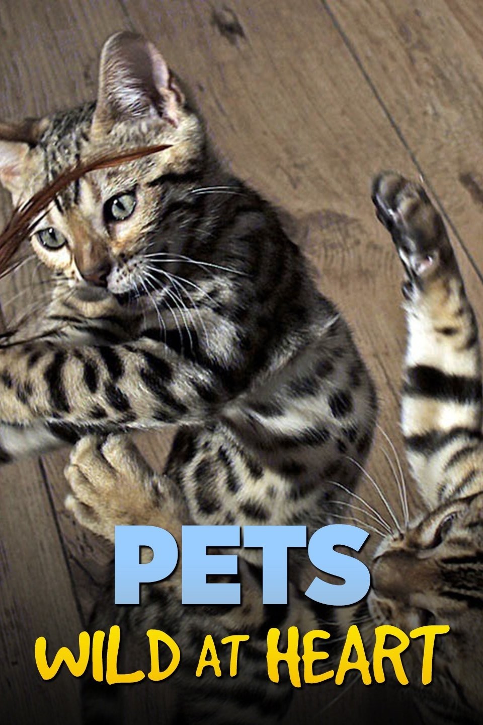 Pets: Wild at Heart | Rotten Tomatoes