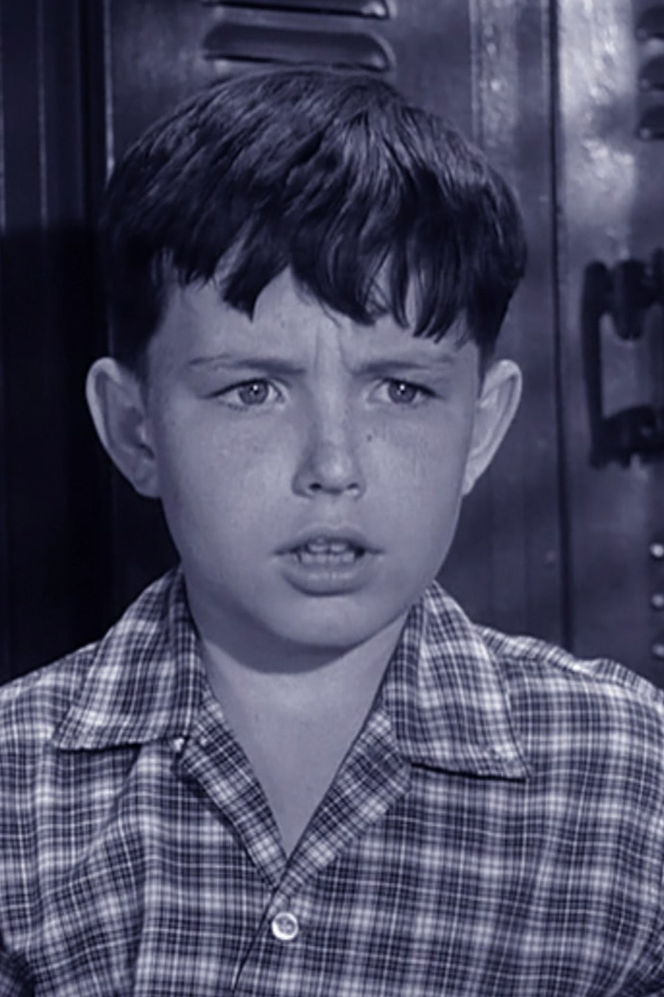 Beaver Takes a Walk Pictures | Rotten Tomatoes