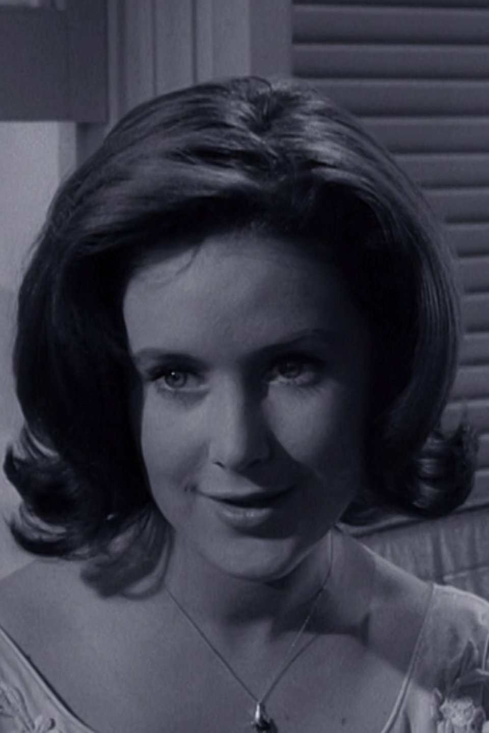 Beaver Sees America Pictures | Rotten Tomatoes