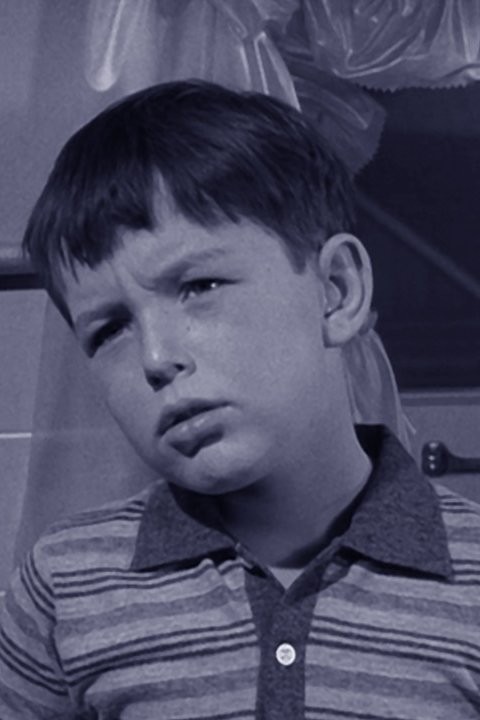 Wally's Pug Nose Pictures | Rotten Tomatoes