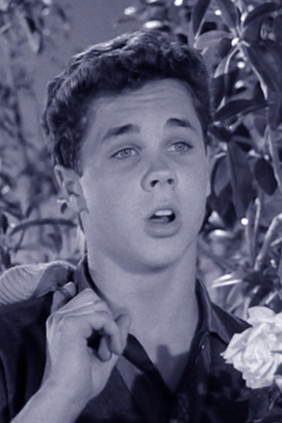 Beaver's Newspapers Pictures | Rotten Tomatoes