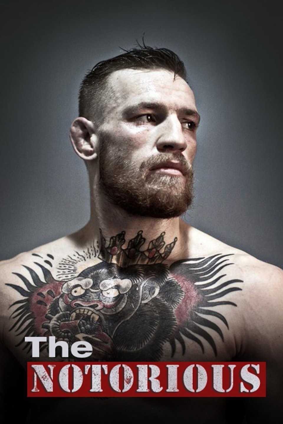 Tell José I'm Coming Pictures | Rotten Tomatoes