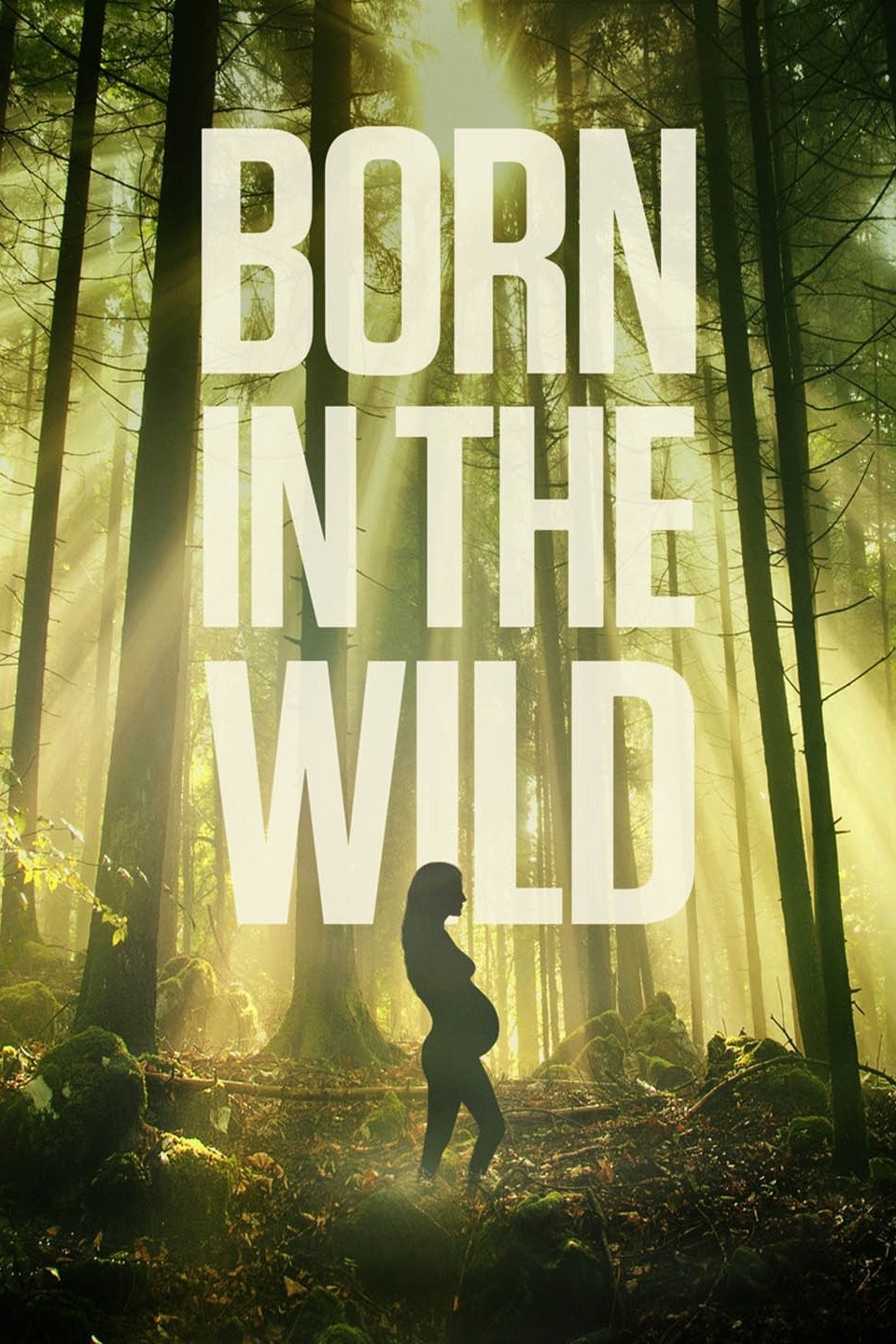 Born in the Wild | Rotten Tomatoes
