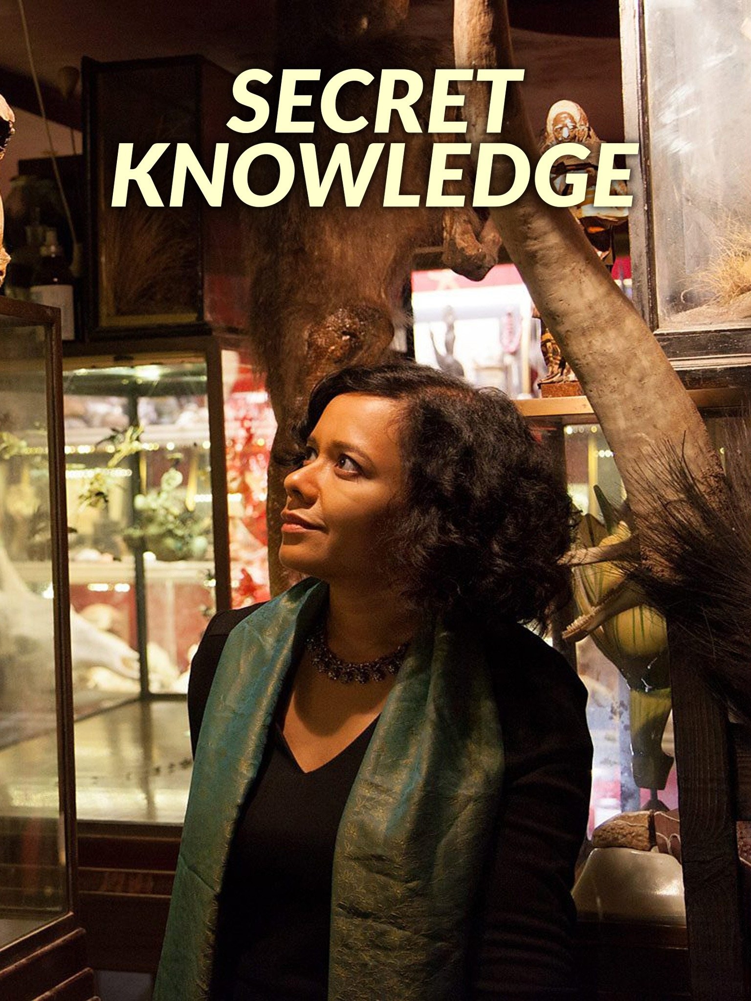 Secret Knowledge Season 1 | Rotten Tomatoes