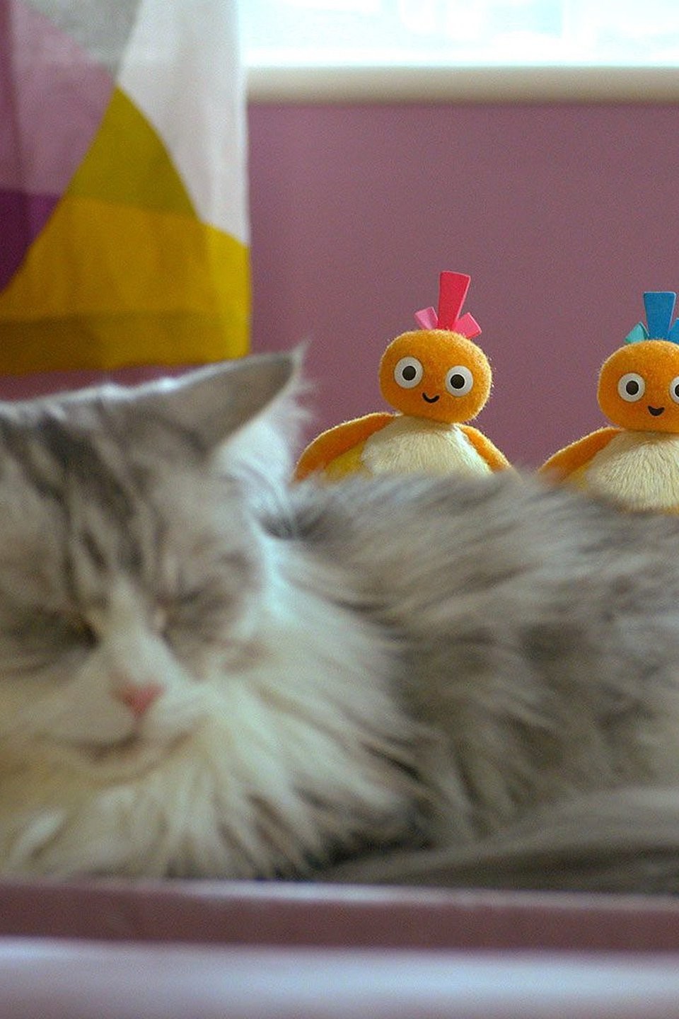 Soft Pictures | Rotten Tomatoes