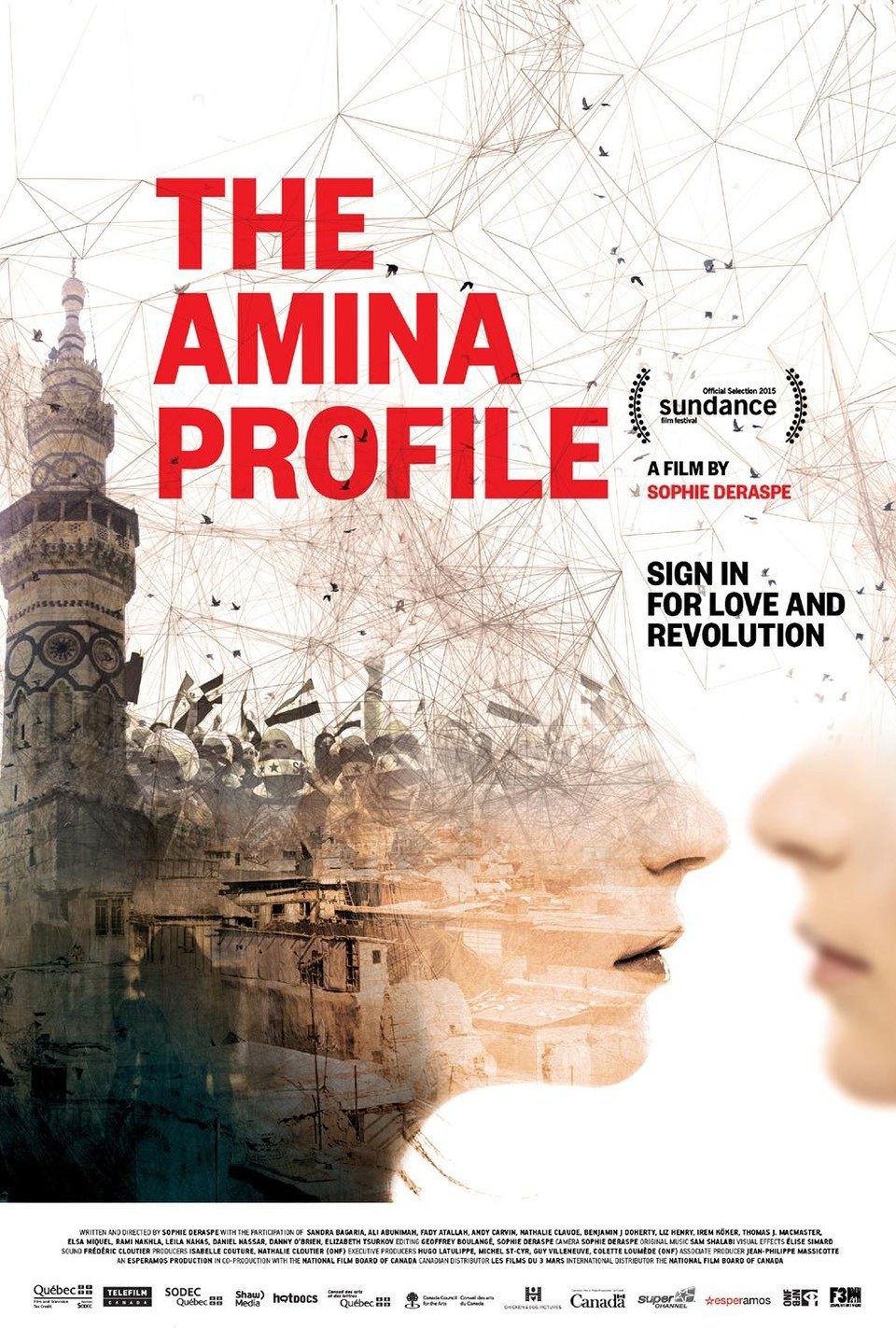The Amina Profile | Rotten Tomatoes
