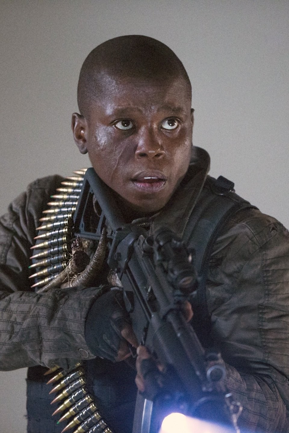 Find Your Warrior Pictures | Rotten Tomatoes
