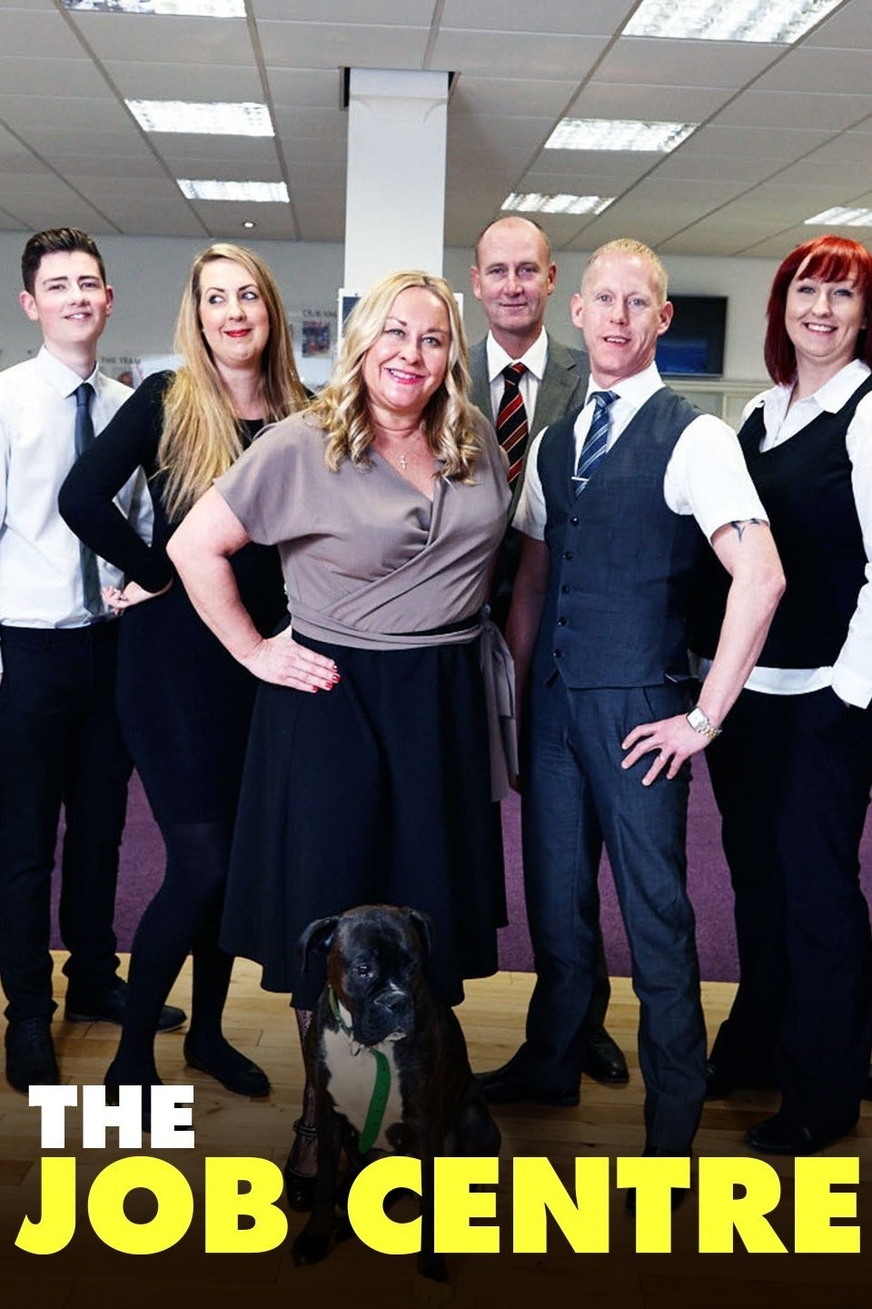 The Job Centre | Rotten Tomatoes