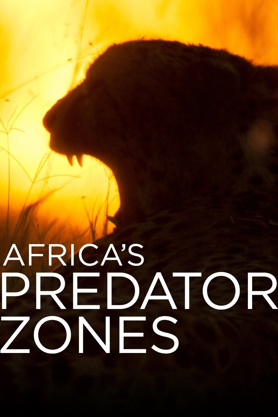 Africa's Predator Zones Pictures | Rotten Tomatoes