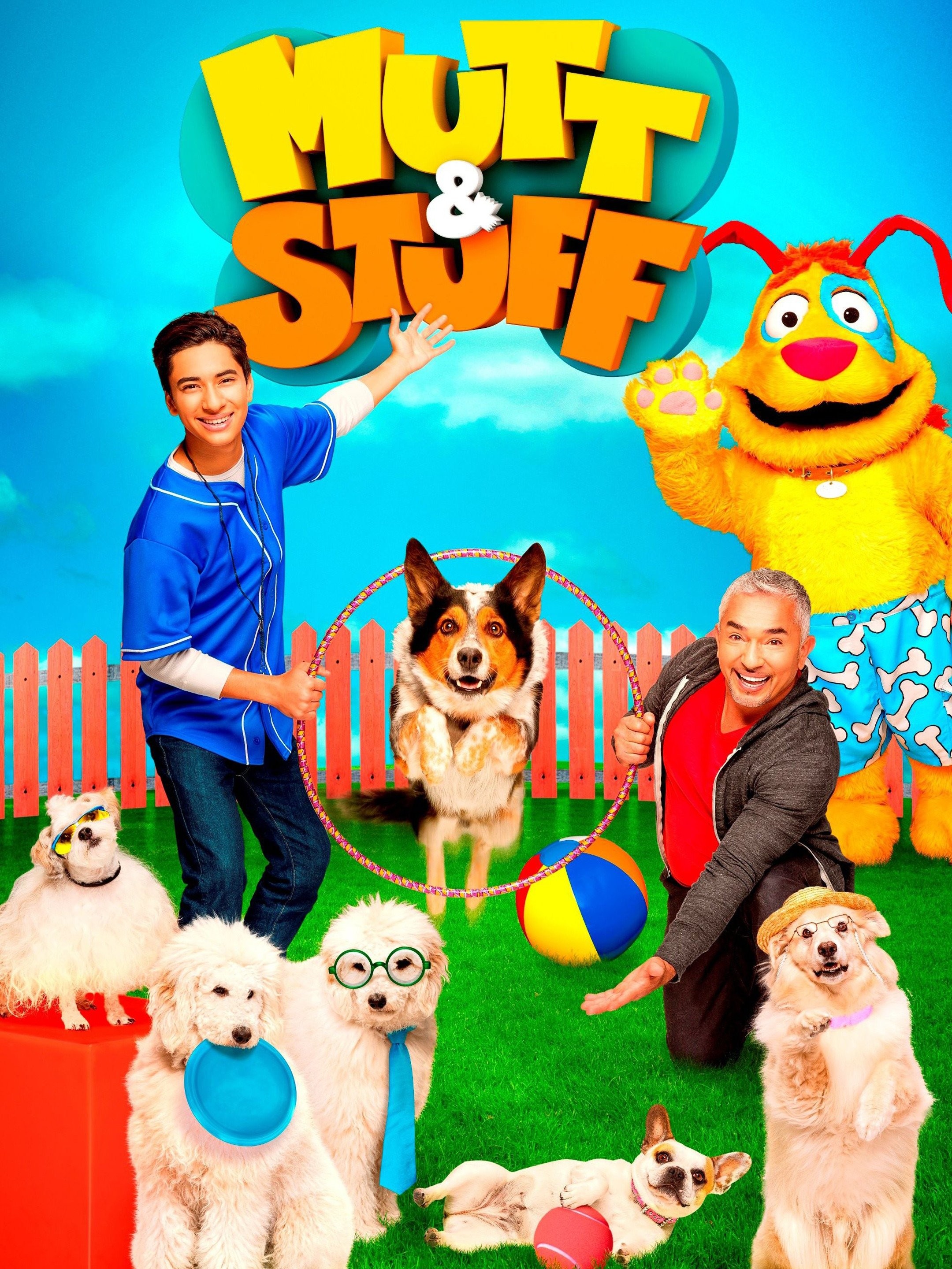 Mutt & Stuff Season 1 | Rotten Tomatoes