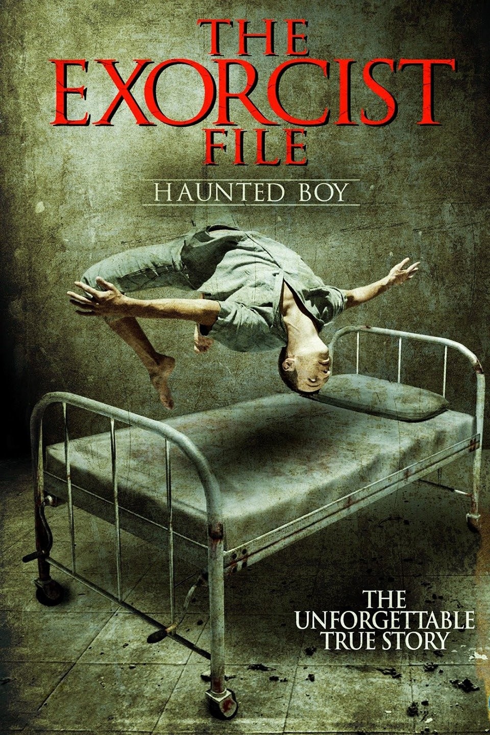 The Exorcist File: Haunted Boy Pictures | Rotten Tomatoes