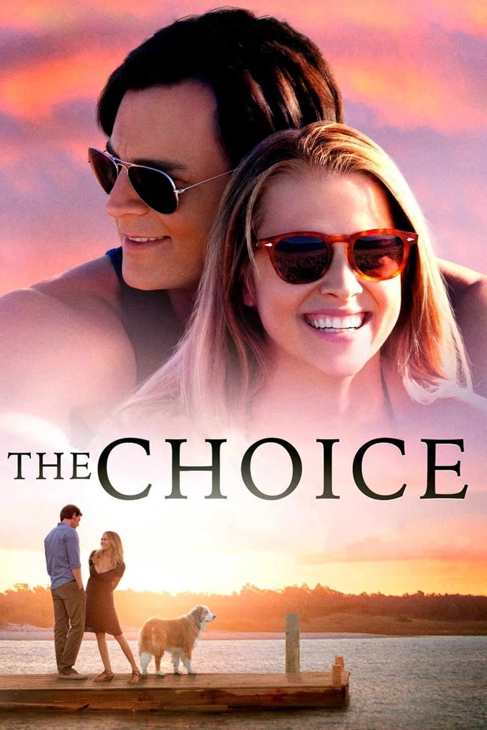 The Choice Rotten Tomatoes