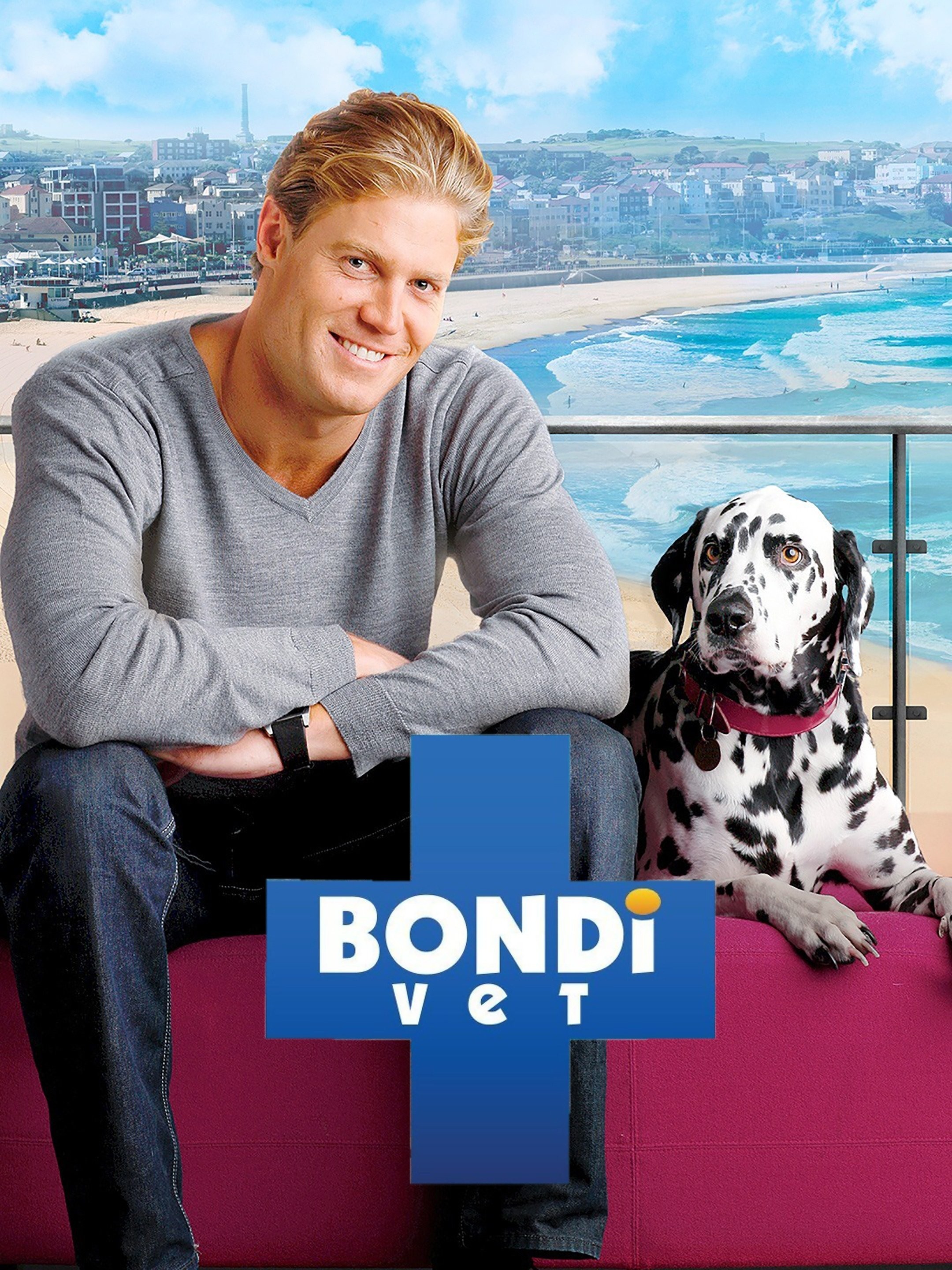 Bondi Vet Season 7 | Rotten Tomatoes