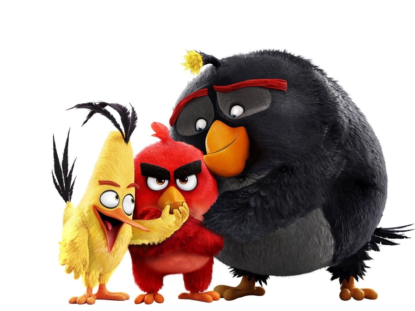 Angry Birds Images