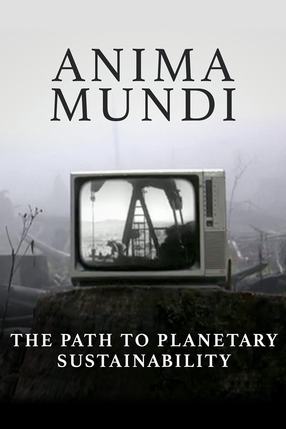 Anima Mundi | Rotten Tomatoes