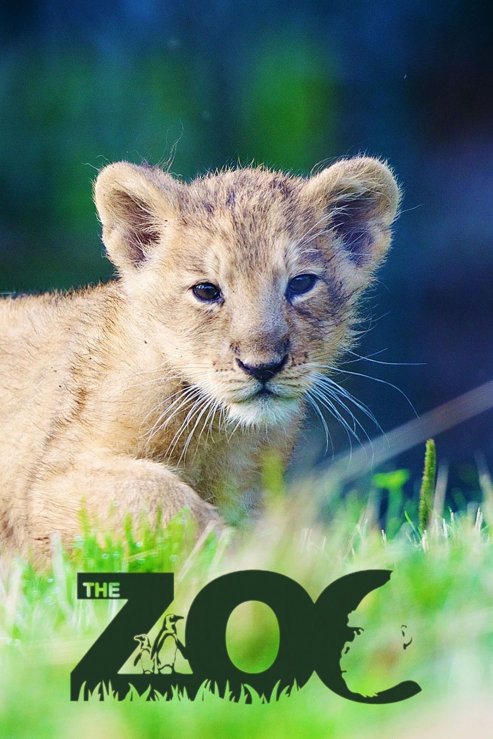 The Zoo Season 6 | Rotten Tomatoes