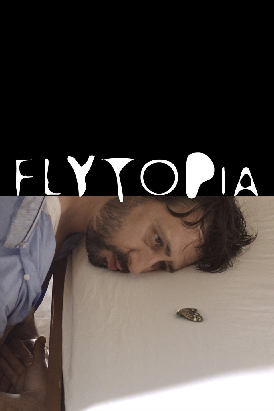 Flytopia Pictures | Rotten Tomatoes