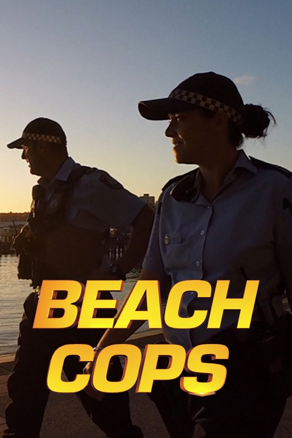 Beach Cops Season 1 | Rotten Tomatoes