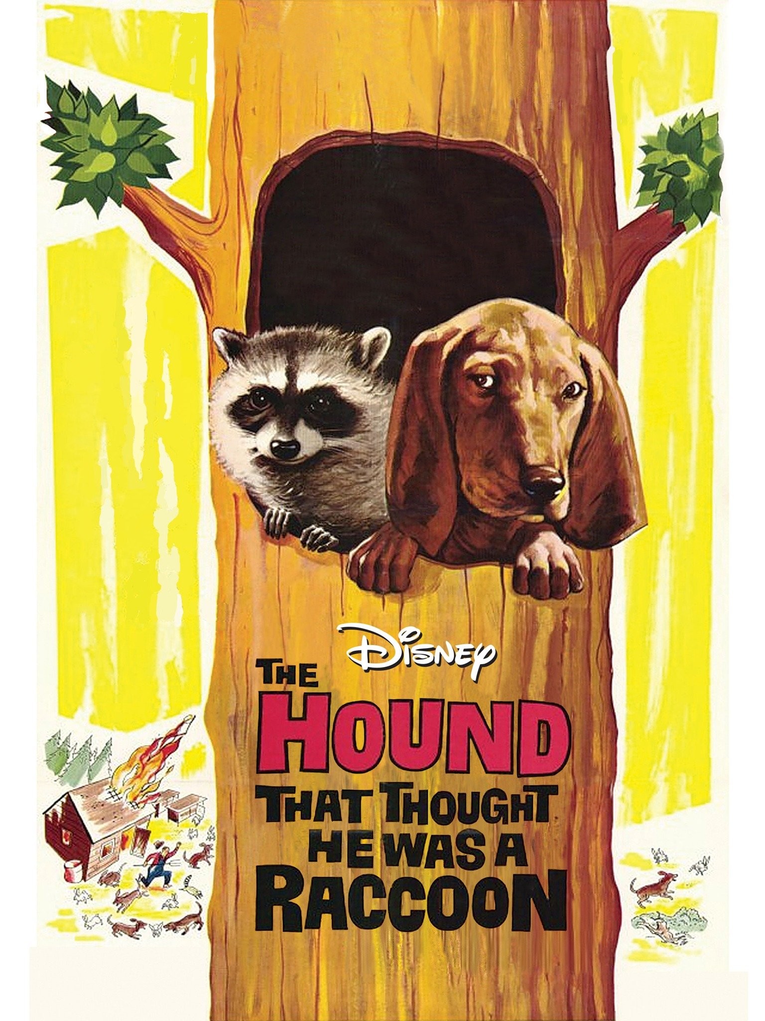 The Hound That Thought He Was a Raccoon Pictures | Rotten Tomatoes