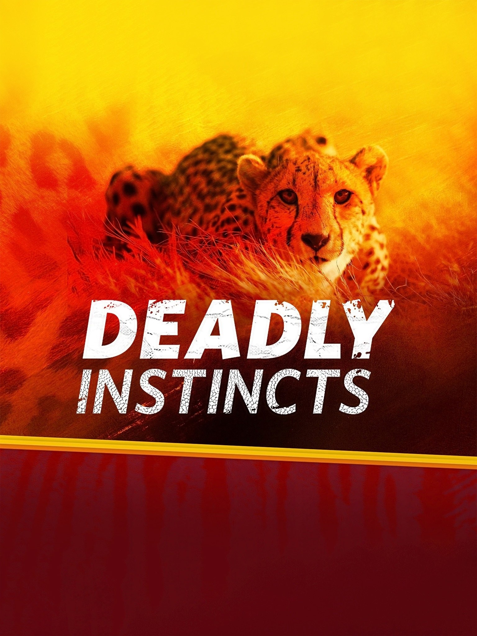 Deadly Instincts Season 1 | Rotten Tomatoes