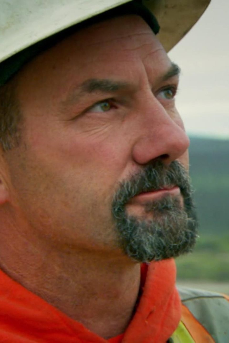 Goldzilla Gold Pictures | Rotten Tomatoes