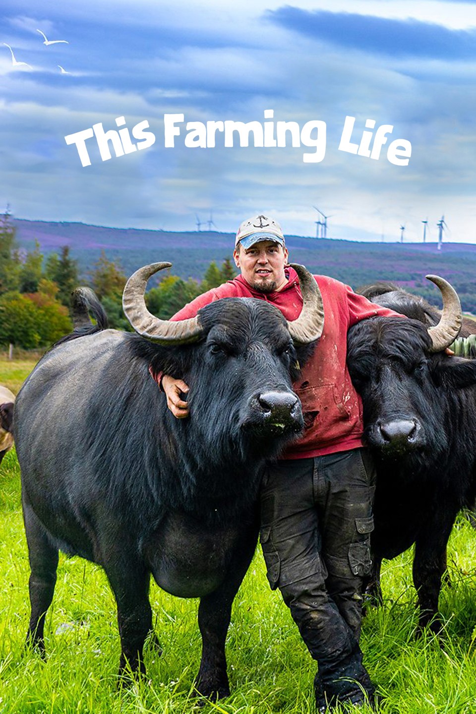 This Farming Life | Rotten Tomatoes