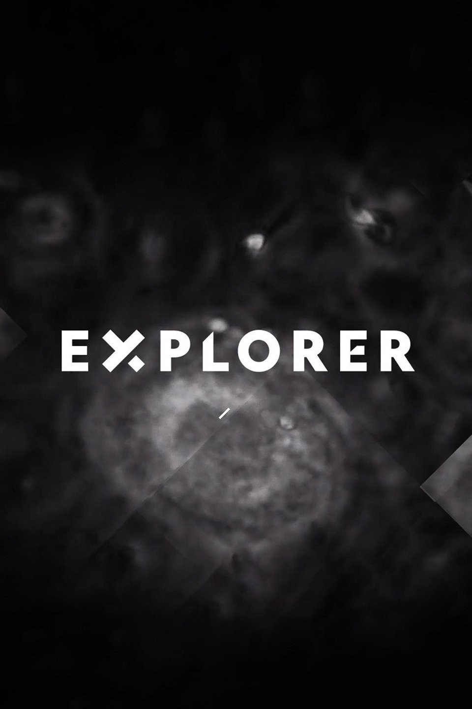 Explorer Season 3 | Rotten Tomatoes
