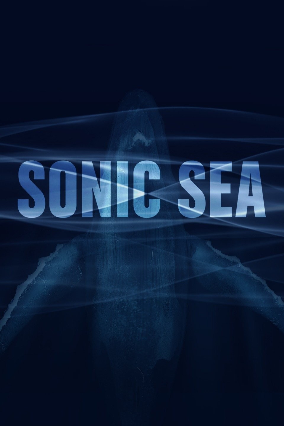 Sonic Sea | Rotten Tomatoes