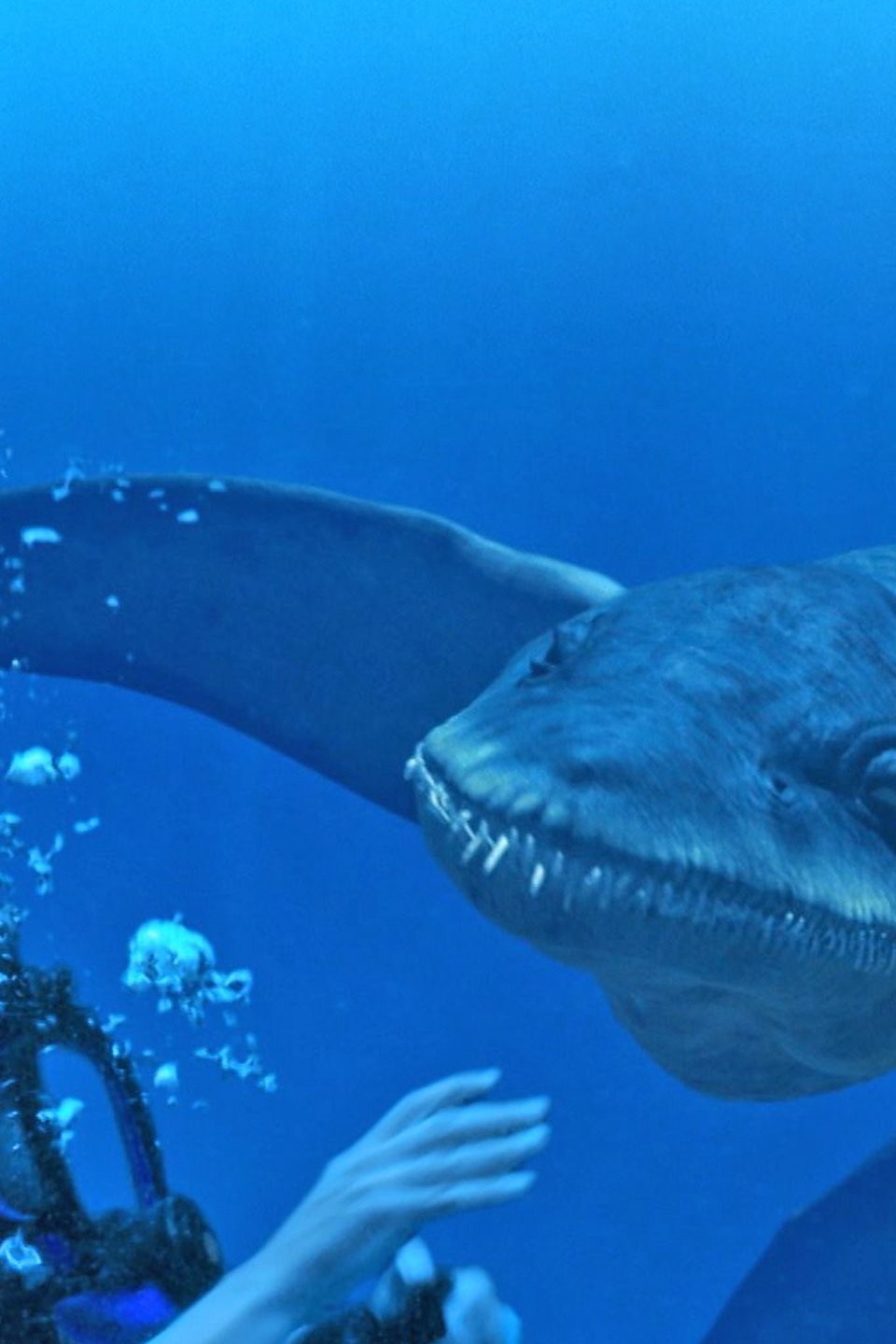 Kimmerosaurus and Clamshell Pictures | Rotten Tomatoes