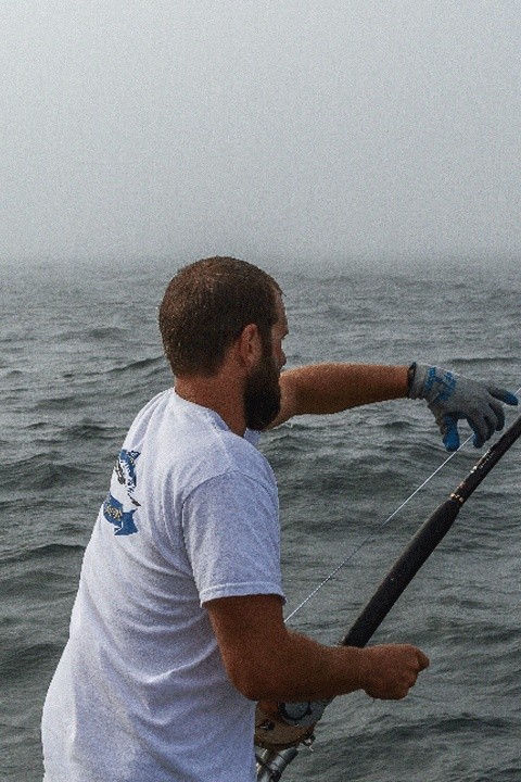 Opposites Distract Pictures | Rotten Tomatoes