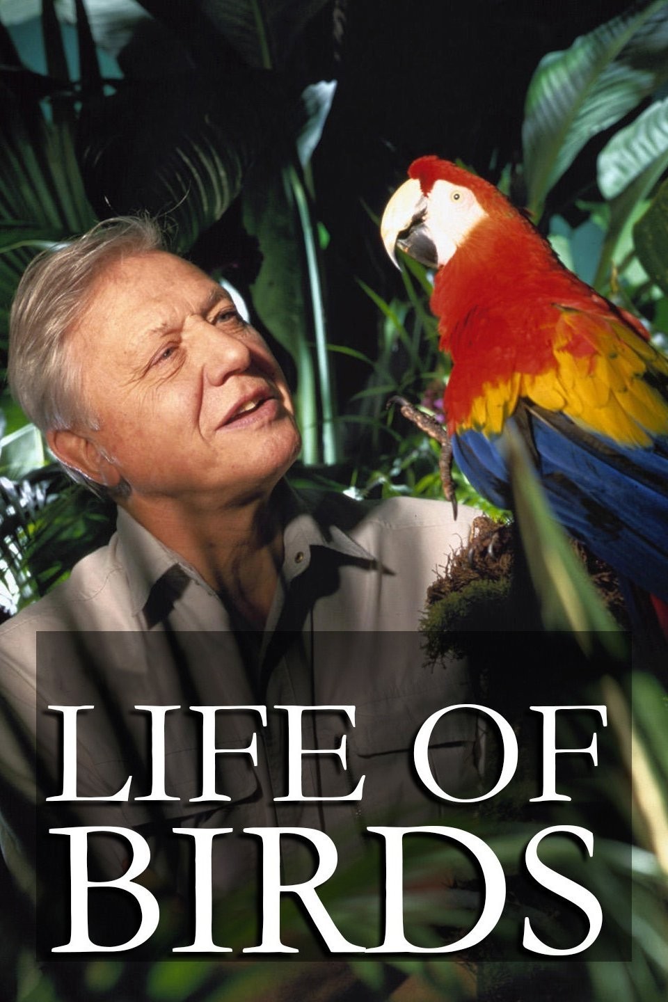 Life of Birds Season 1 | Rotten Tomatoes