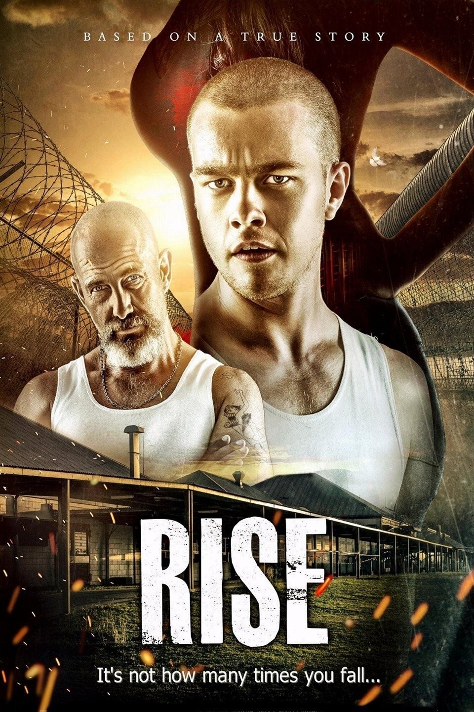 Rise | Rotten Tomatoes