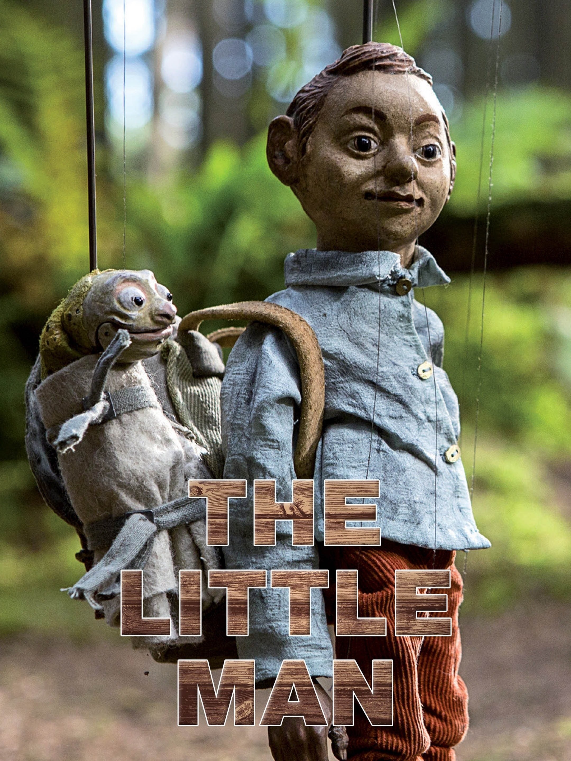The Little Man Pictures | Rotten Tomatoes
