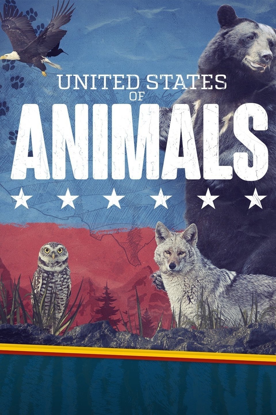 United States of Animals: Season 1 Pictures | Rotten Tomatoes