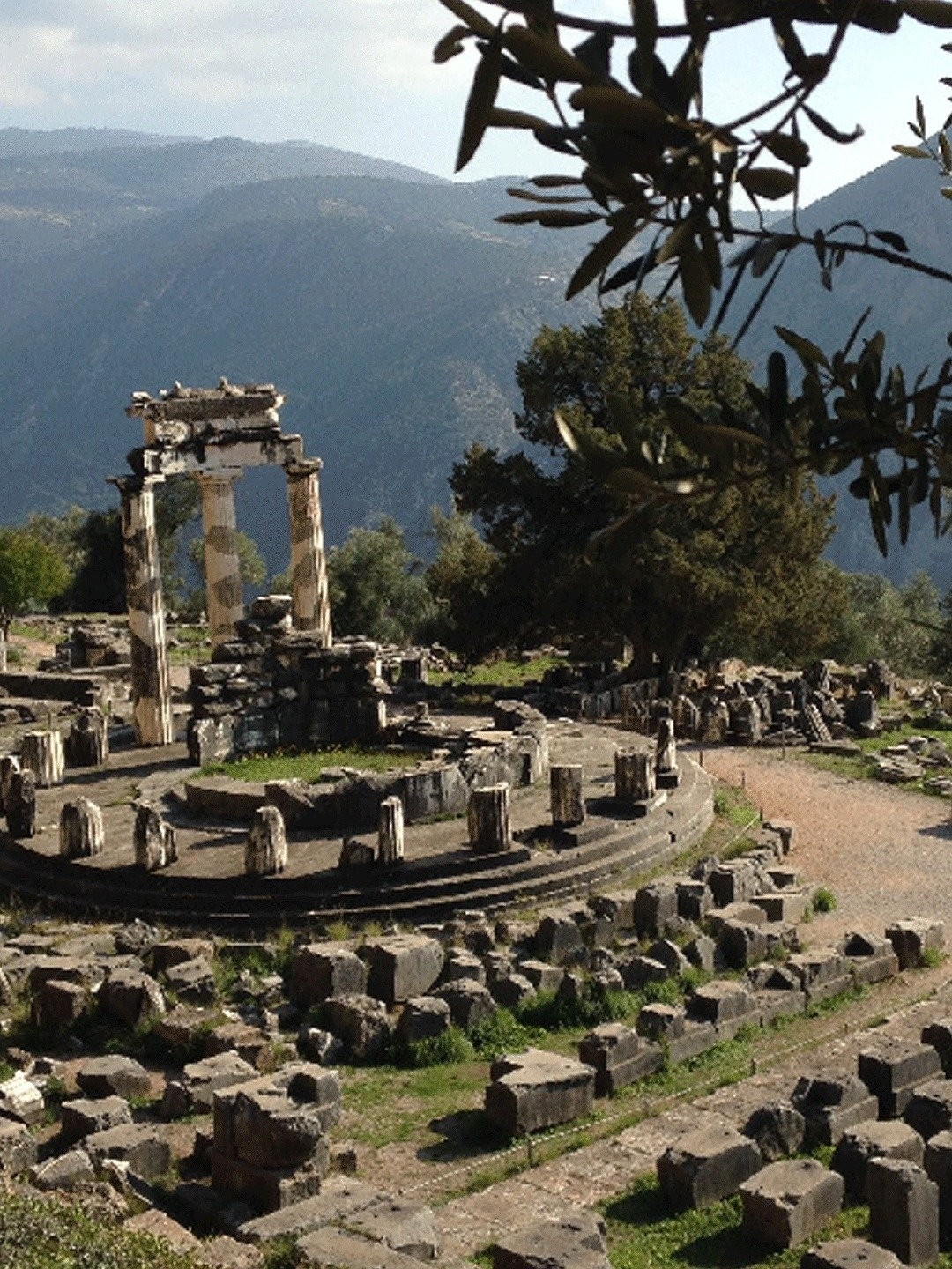 Chasing Greatness Pictures | Rotten Tomatoes