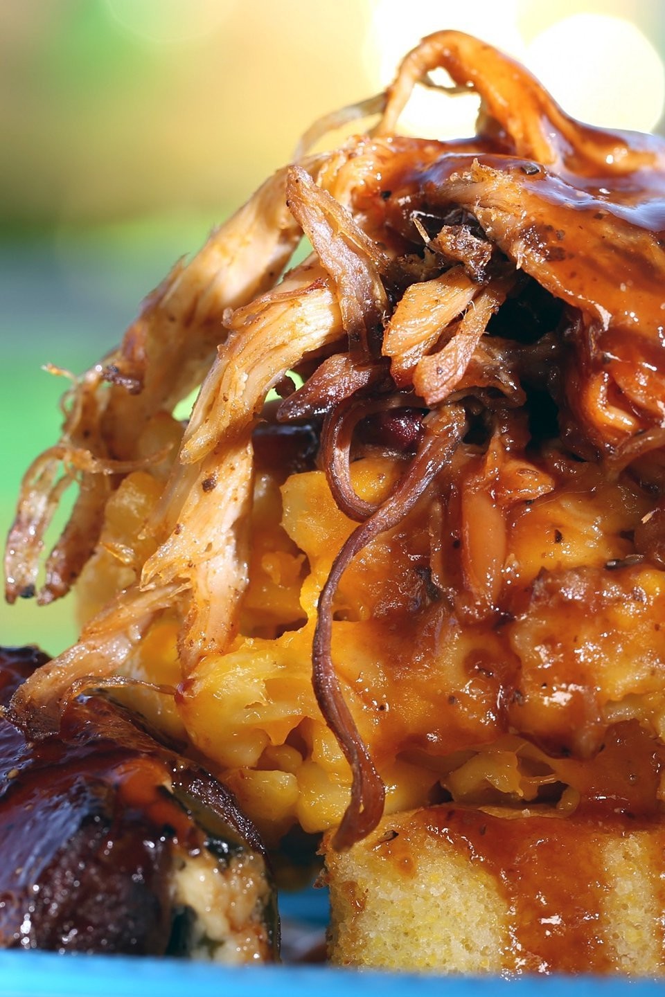 Hogs and Dogs Pictures | Rotten Tomatoes