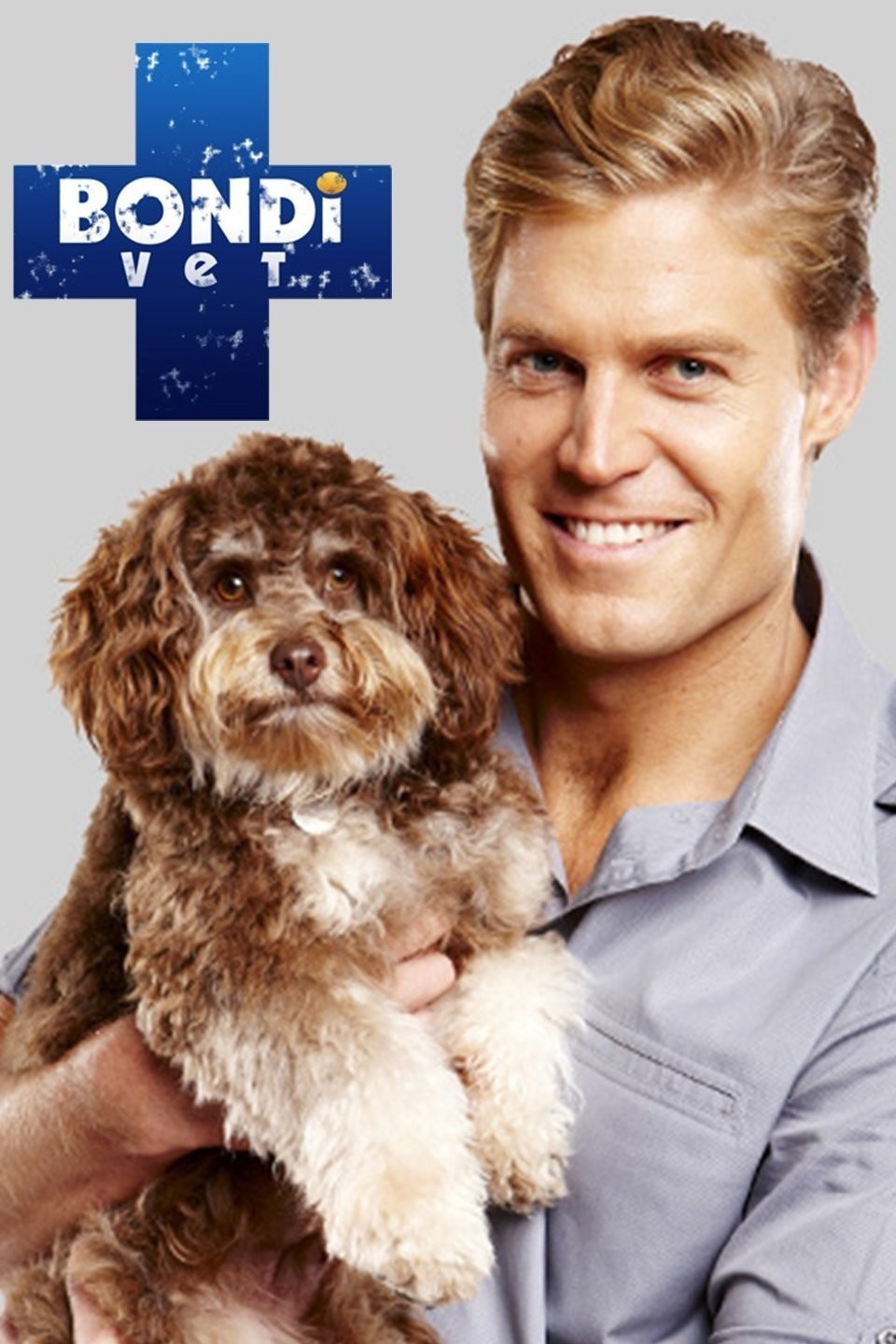 Bondi Vet Season 8 | Rotten Tomatoes