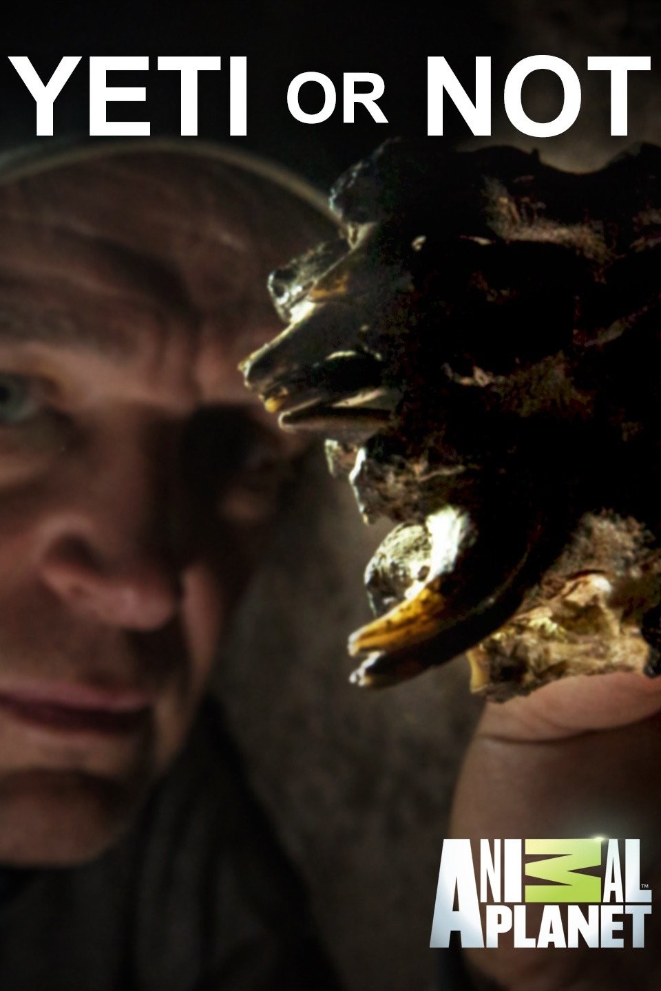 Yeti or Not Pictures | Rotten Tomatoes