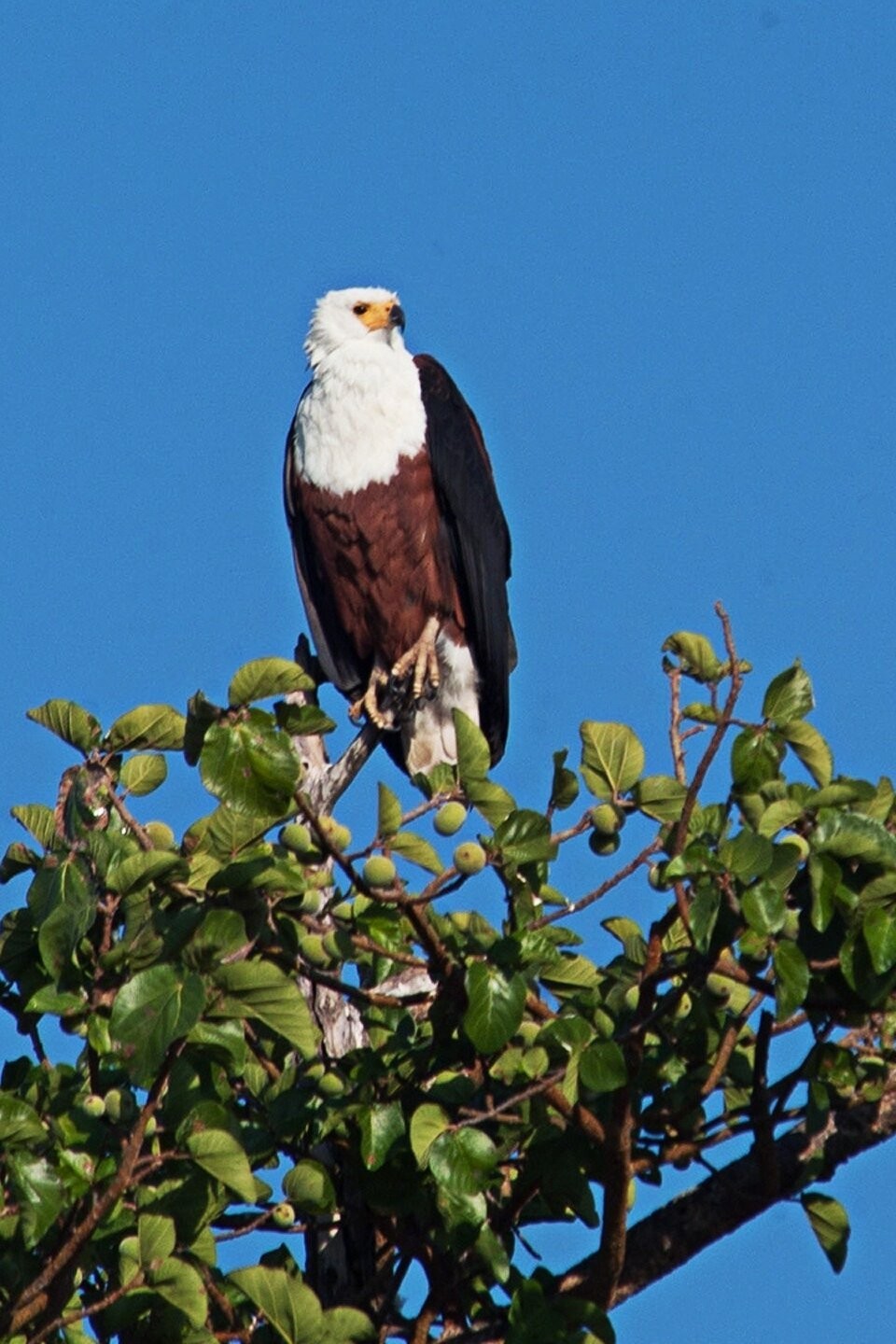 Invaders Pictures | Rotten Tomatoes