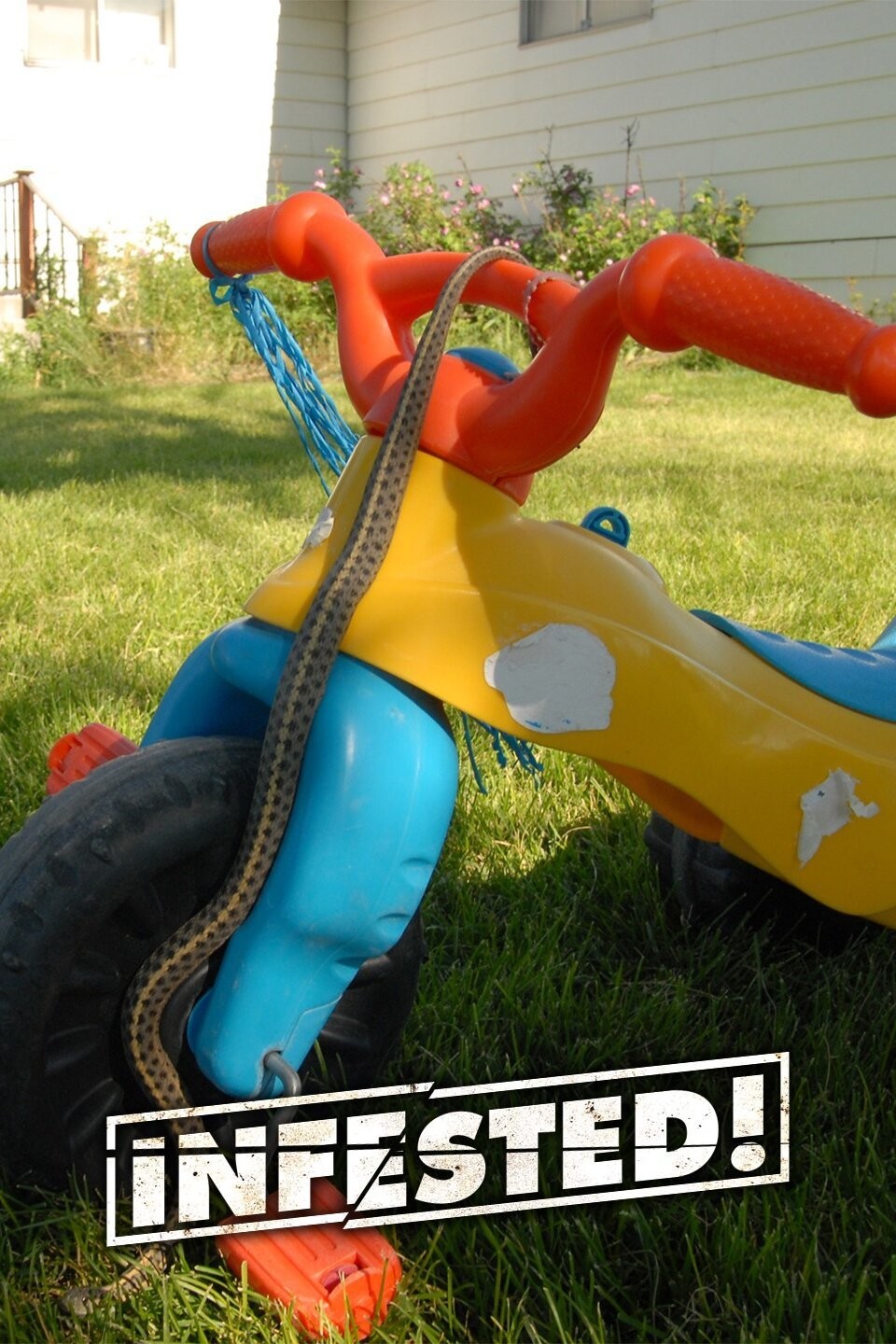 Infested! Season 1 | Rotten Tomatoes