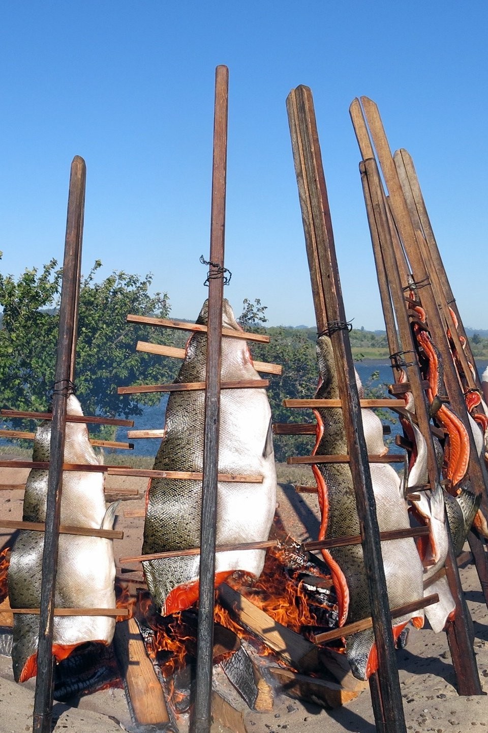 Fiery Fish and Fowl Pictures | Rotten Tomatoes