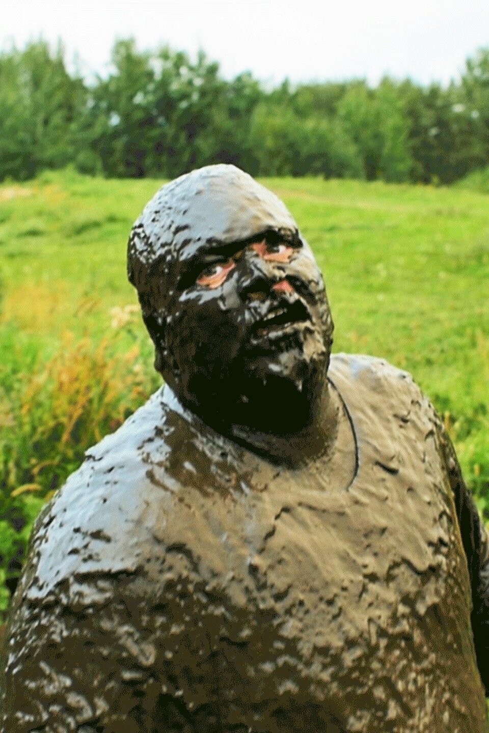 Where the Bison Roam Pictures | Rotten Tomatoes