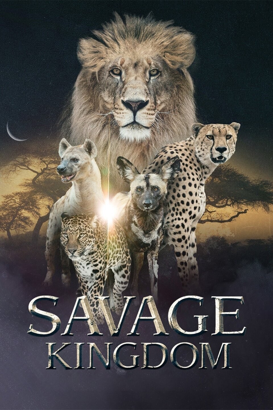 Savage Kingdom Pictures | Rotten Tomatoes