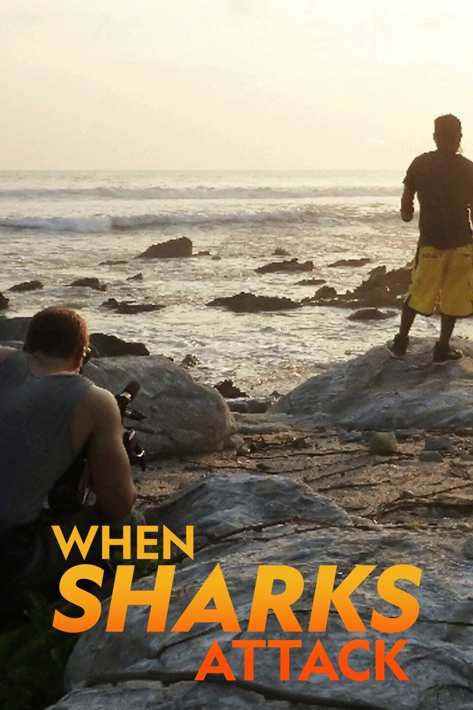 When Sharks Attack Season 1 | Rotten Tomatoes