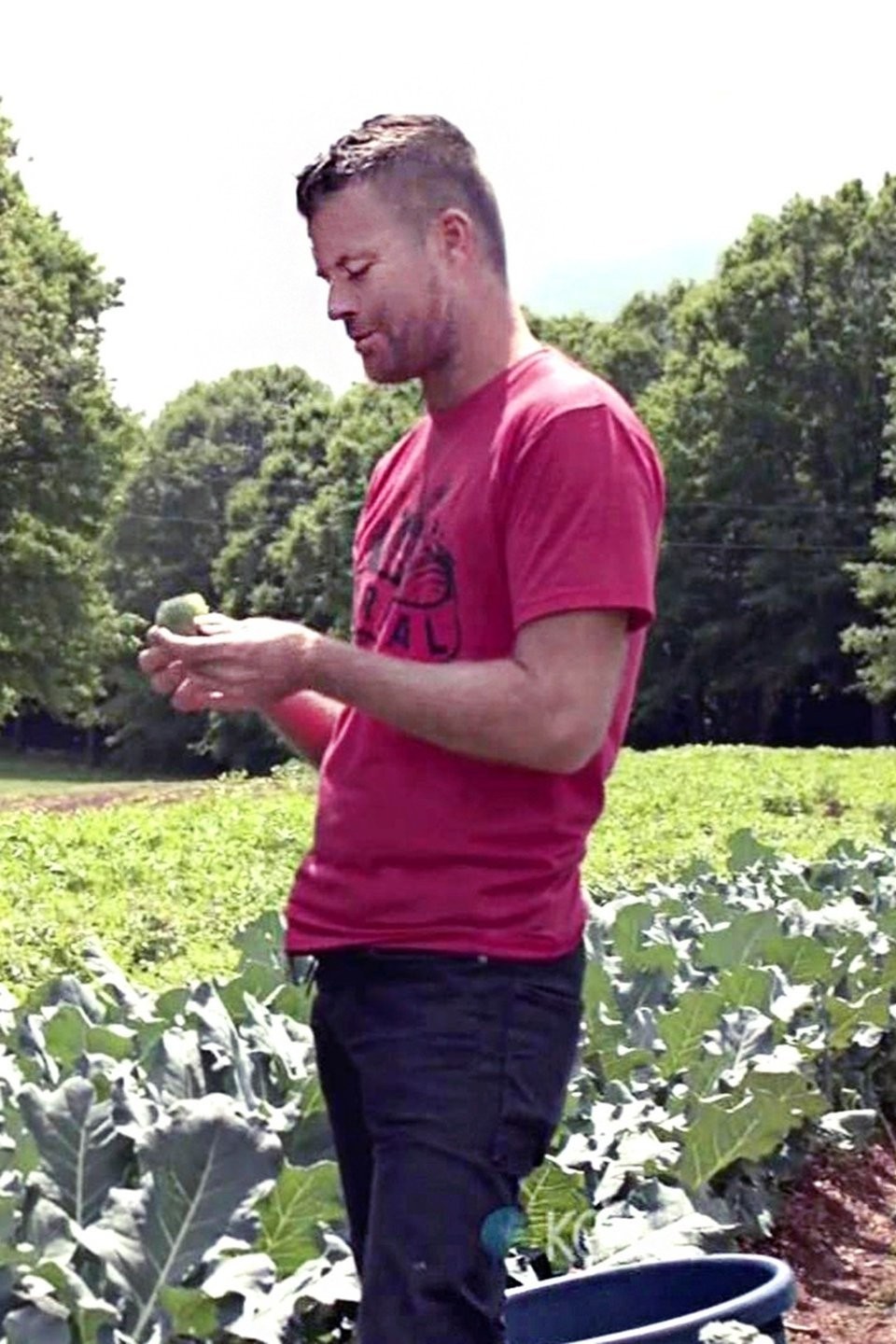 Davidson, North Carolina -- Joe & Katy Kindred Pictures | Rotten Tomatoes