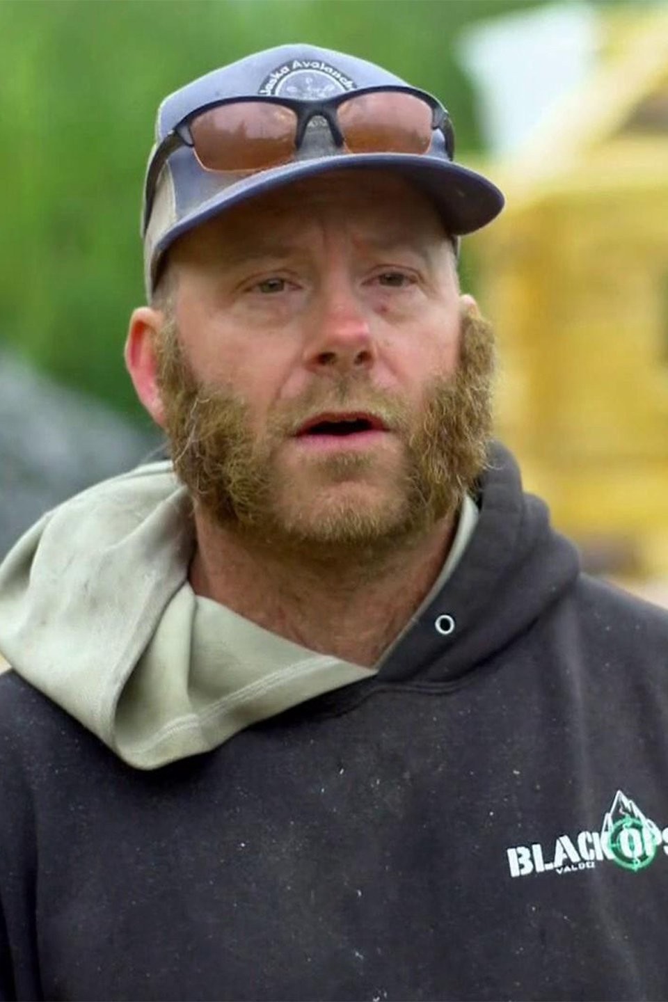 Derek Galbraith's Ski Cabin Pictures - Rotten Tomatoes