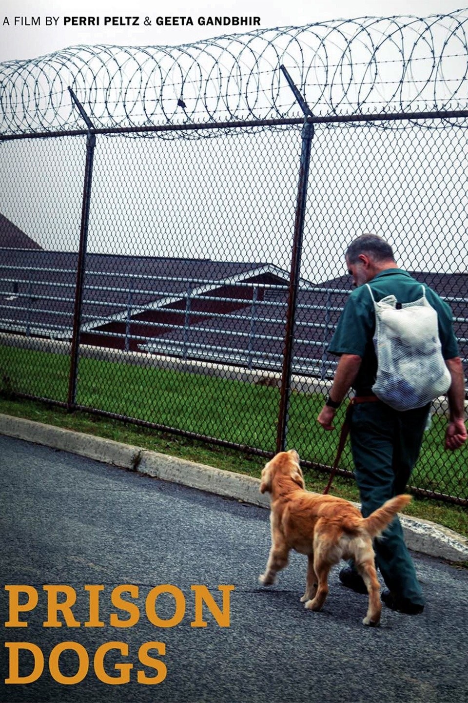 Prison Dogs | Rotten Tomatoes