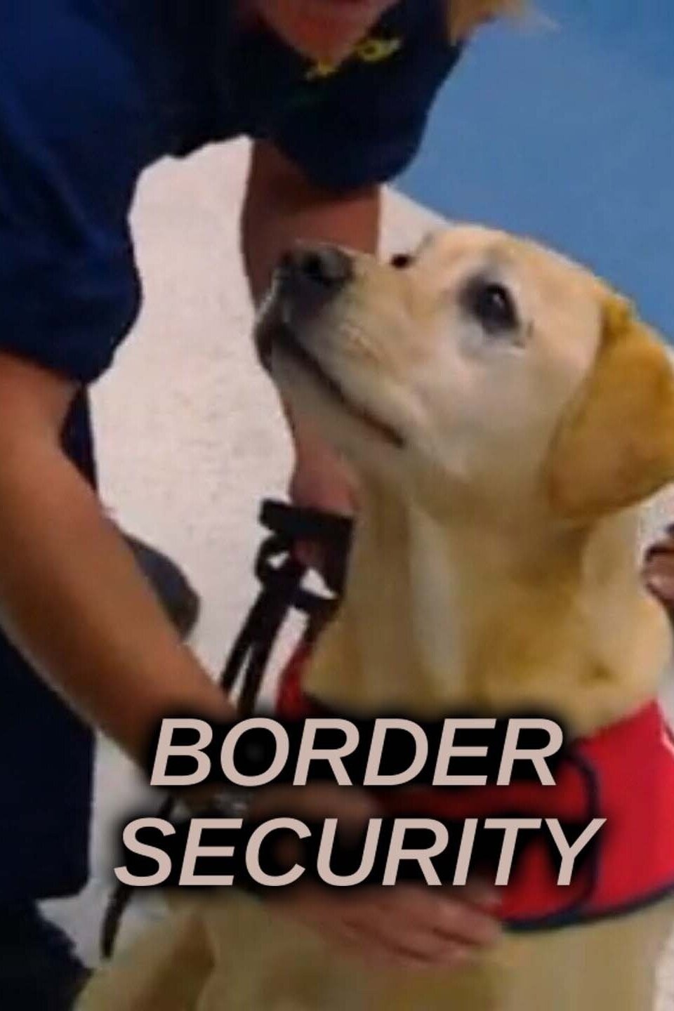 Border Security Season 12 | Rotten Tomatoes