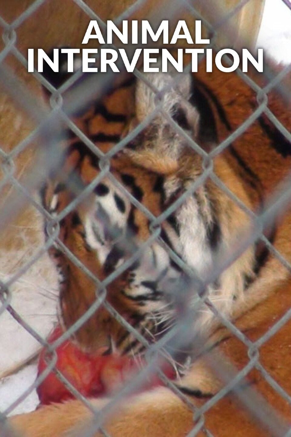 Animal Intervention Season 1 | Rotten Tomatoes